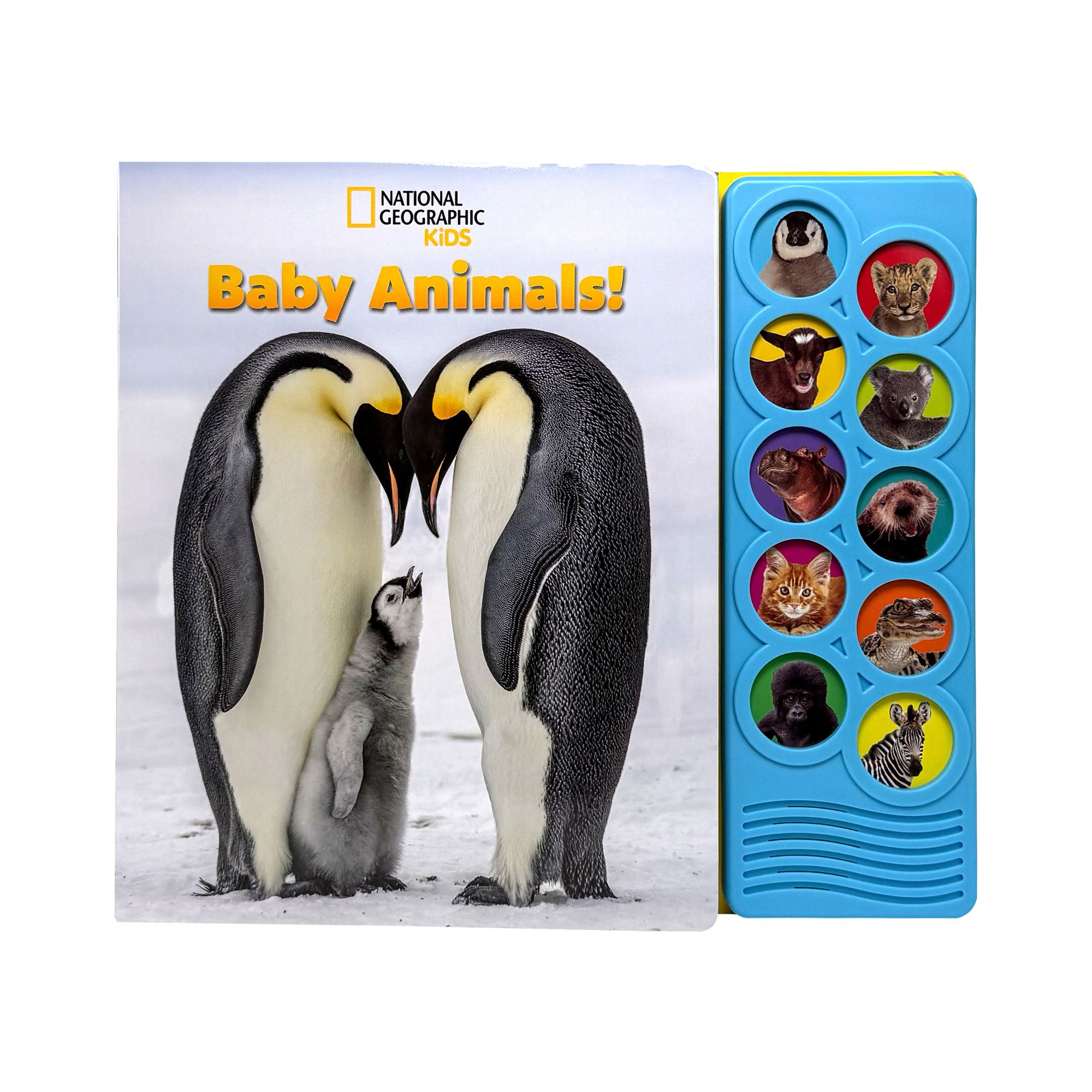 National Geographic Kids: Baby Animals! Sound Book | BJ's Wholesale Club